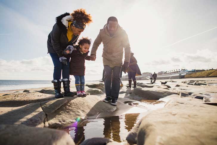 Exploring the seashore: a spotter's guide - CPRE