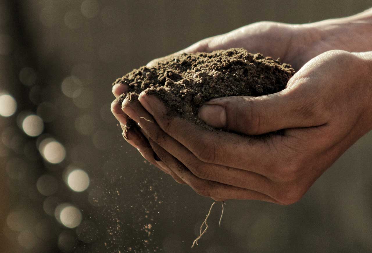 Save our soils: what you need to know about the earth beneath our feet - CPRE