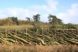 Celebrating England's hedgerows - CPRE