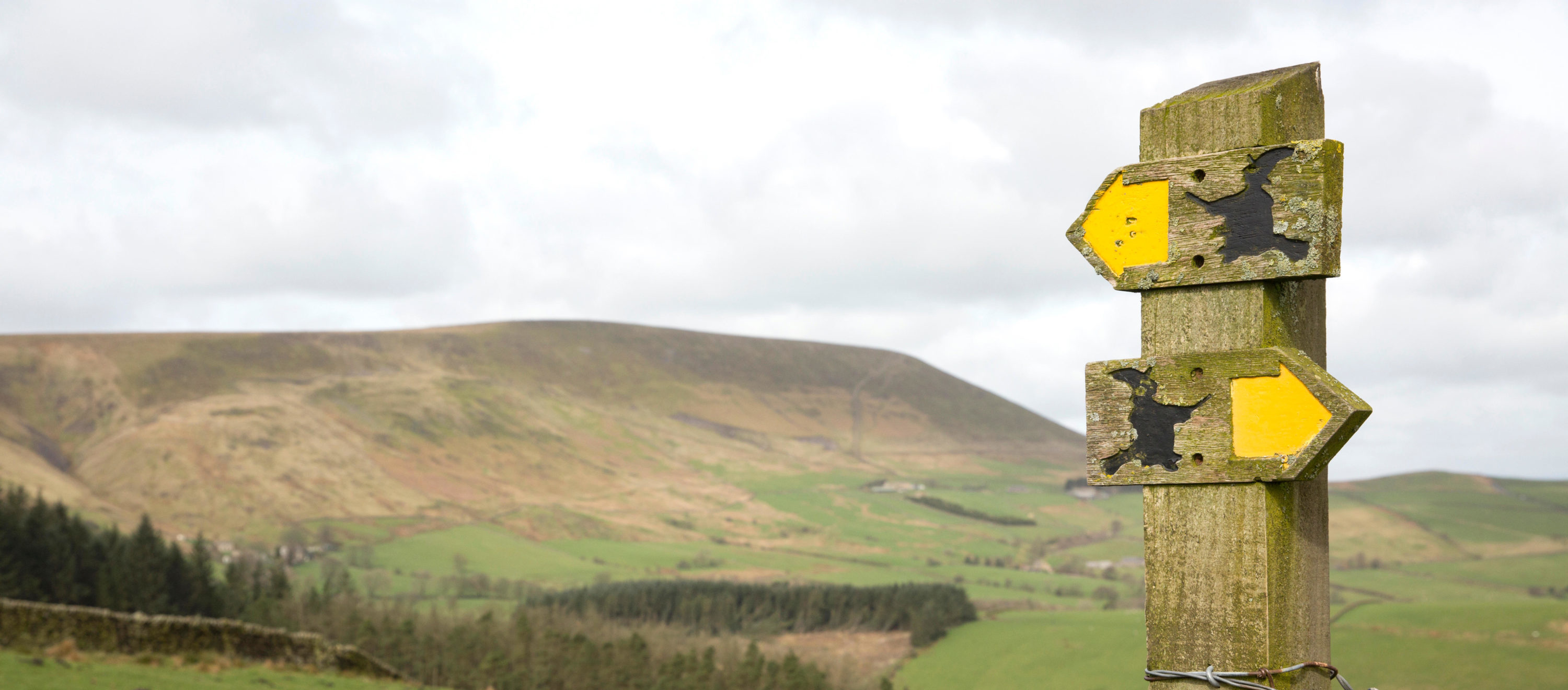 Witches and where to find them … if you dare! - CPRE