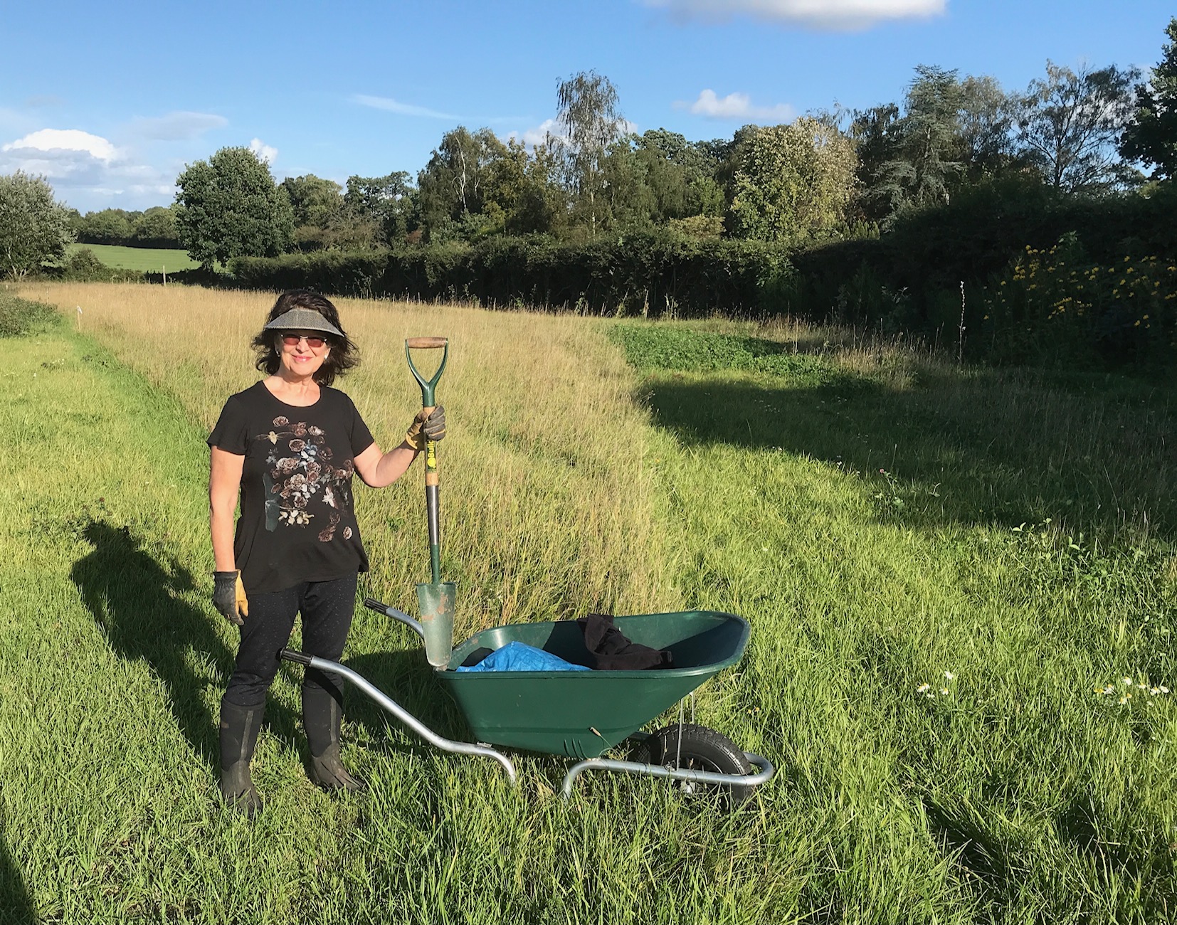 Creating my biodiverse wildflower field - CPRE