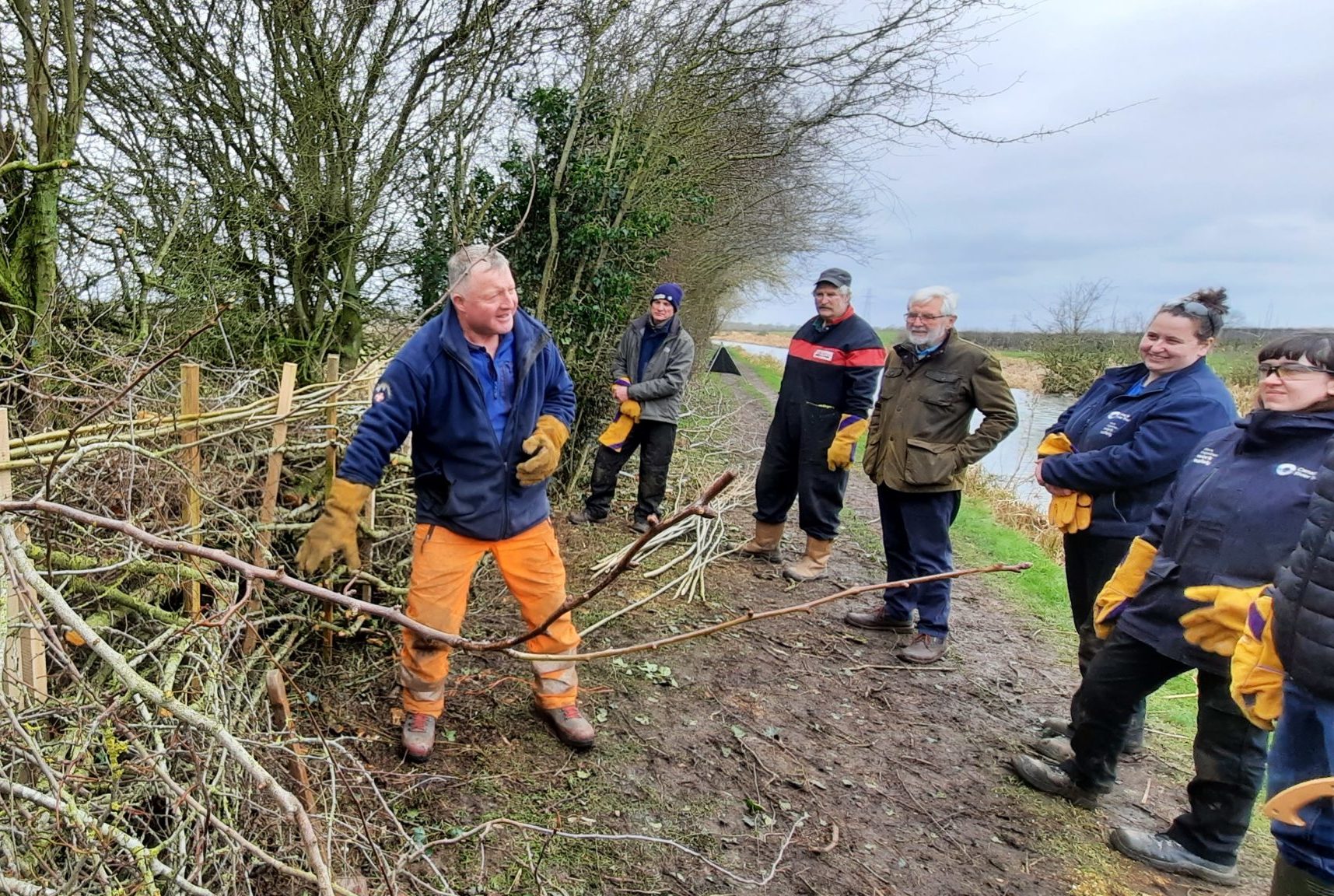 Hedgerow Heroes phase 2: explore this year's projects - CPRE