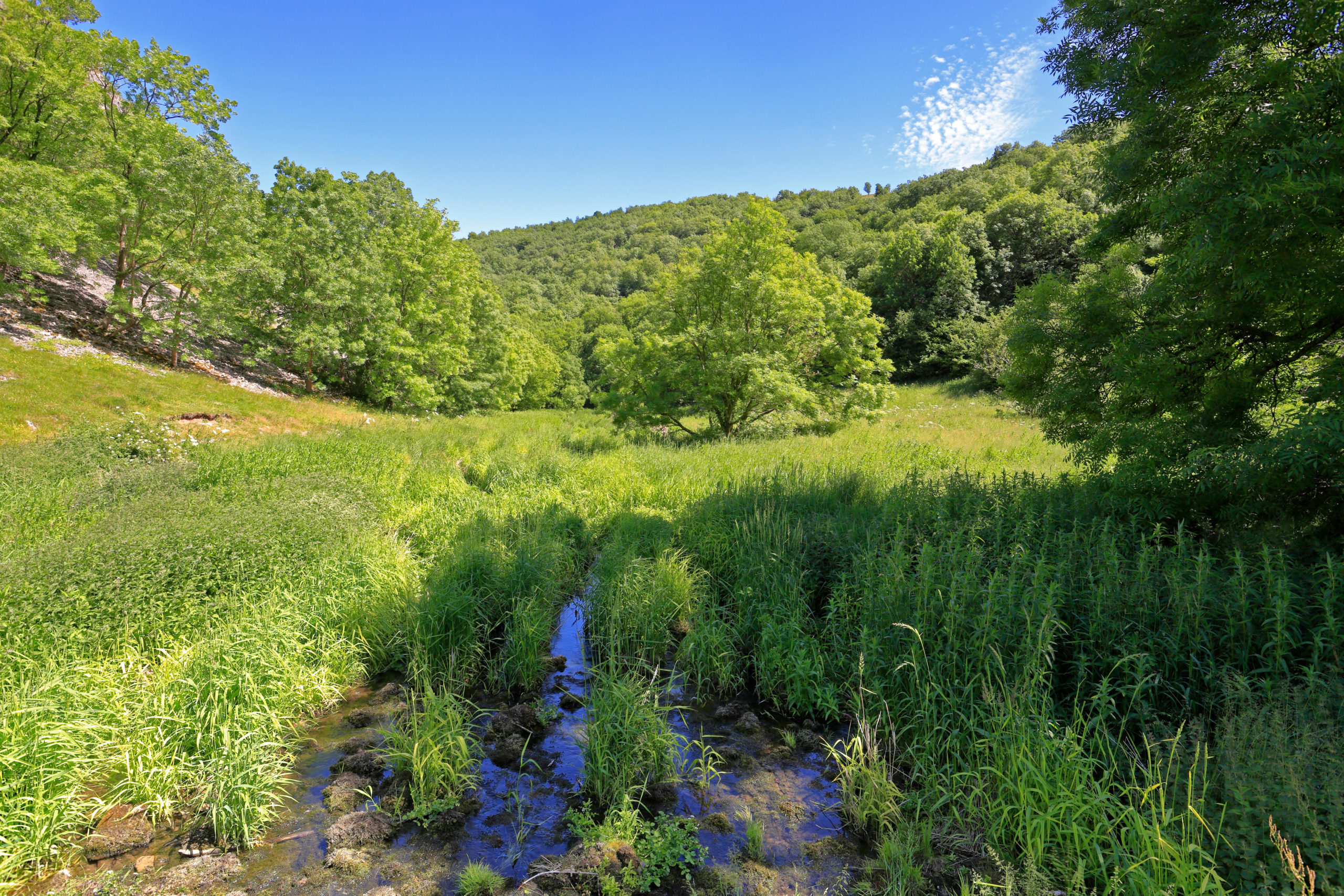Back to the source - CPRE