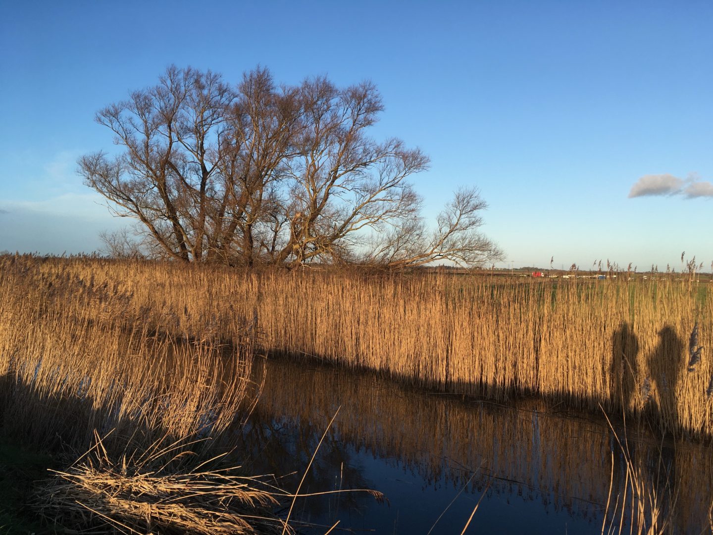 To everything a season – autumn reflections - CPRE