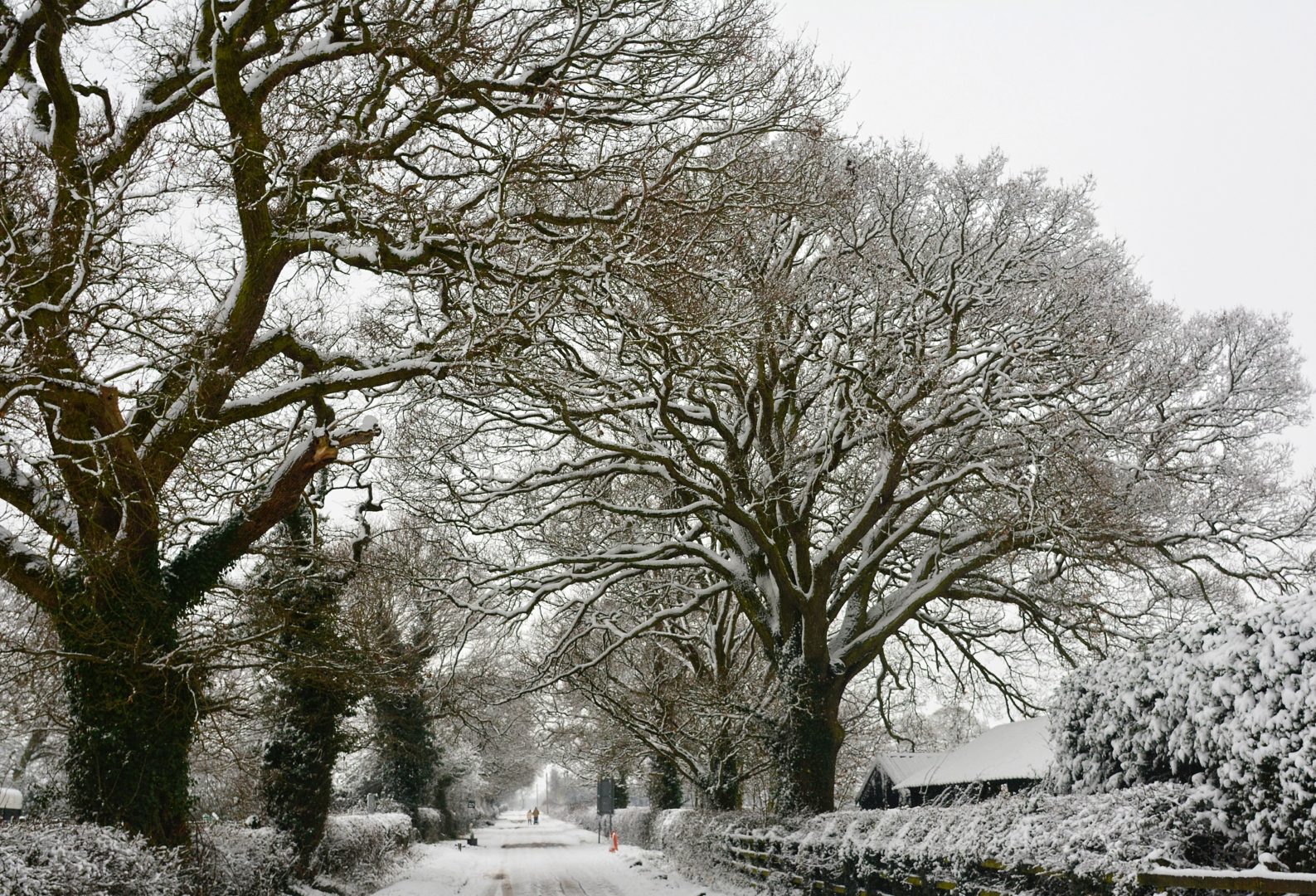 A countryside walk in December - CPRE