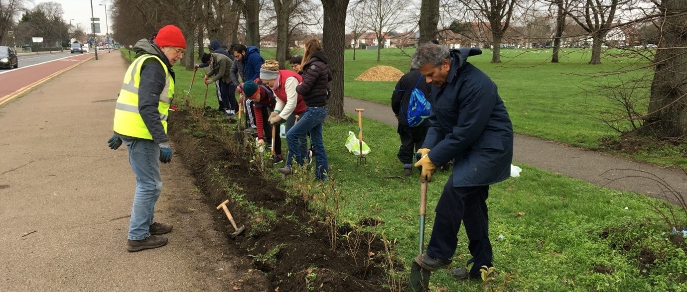 Hedgerow Heroes phase 3: nine new local CPRE hedgerow projects - CPRE