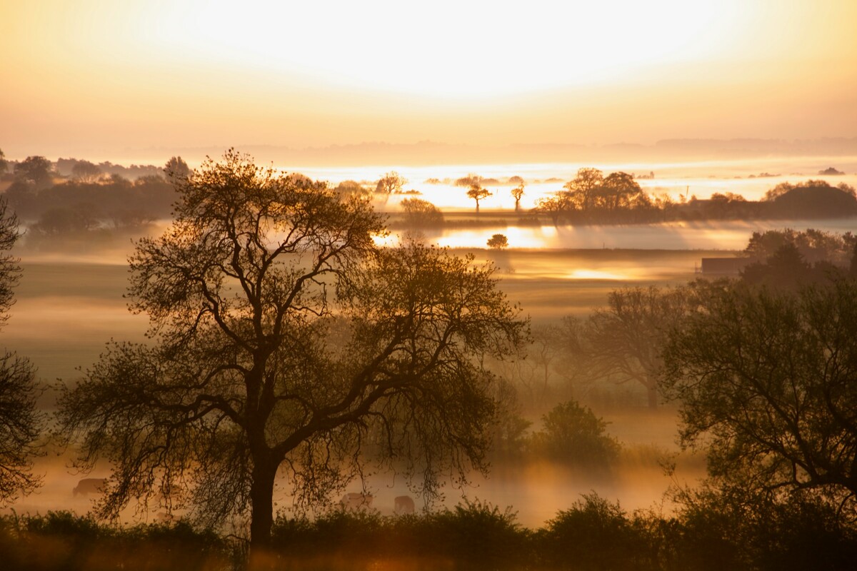 Morning Light: the 'life-giving' power of an autumnal morning walk - CPRE