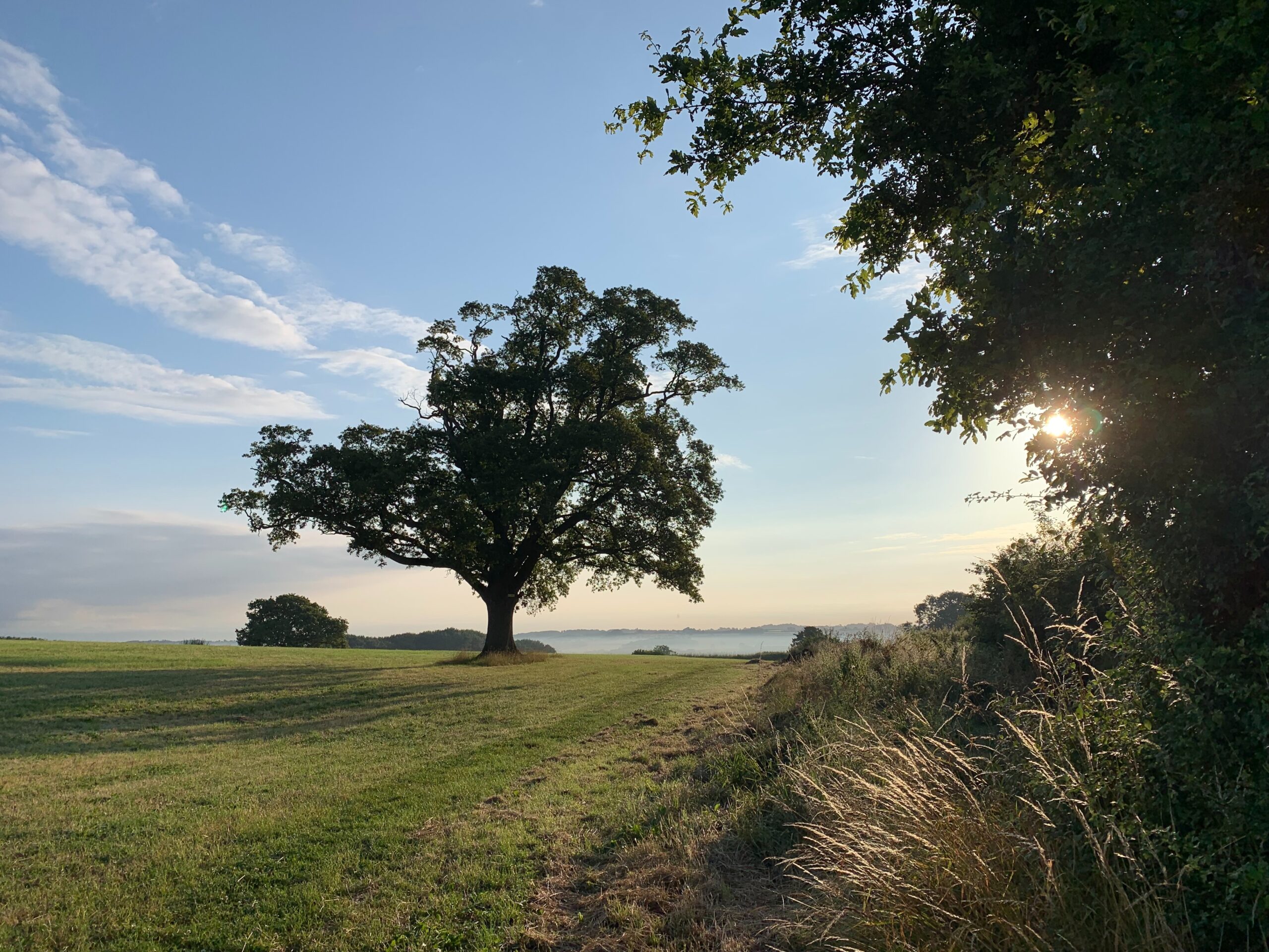Local Green Spaces case study: Young people in rural areas - CPRE