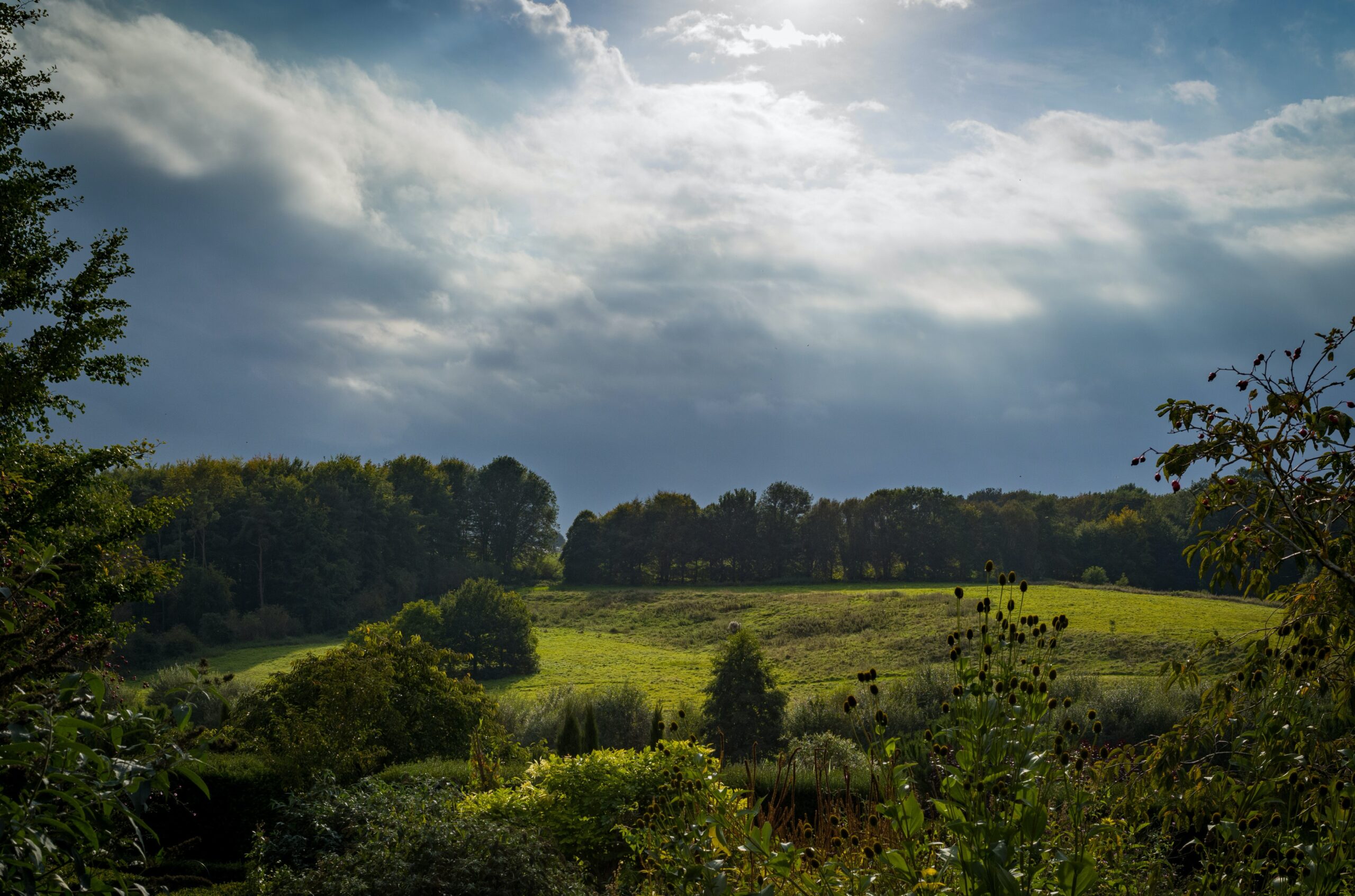 Affordable homes for local people in Kent - CPRE