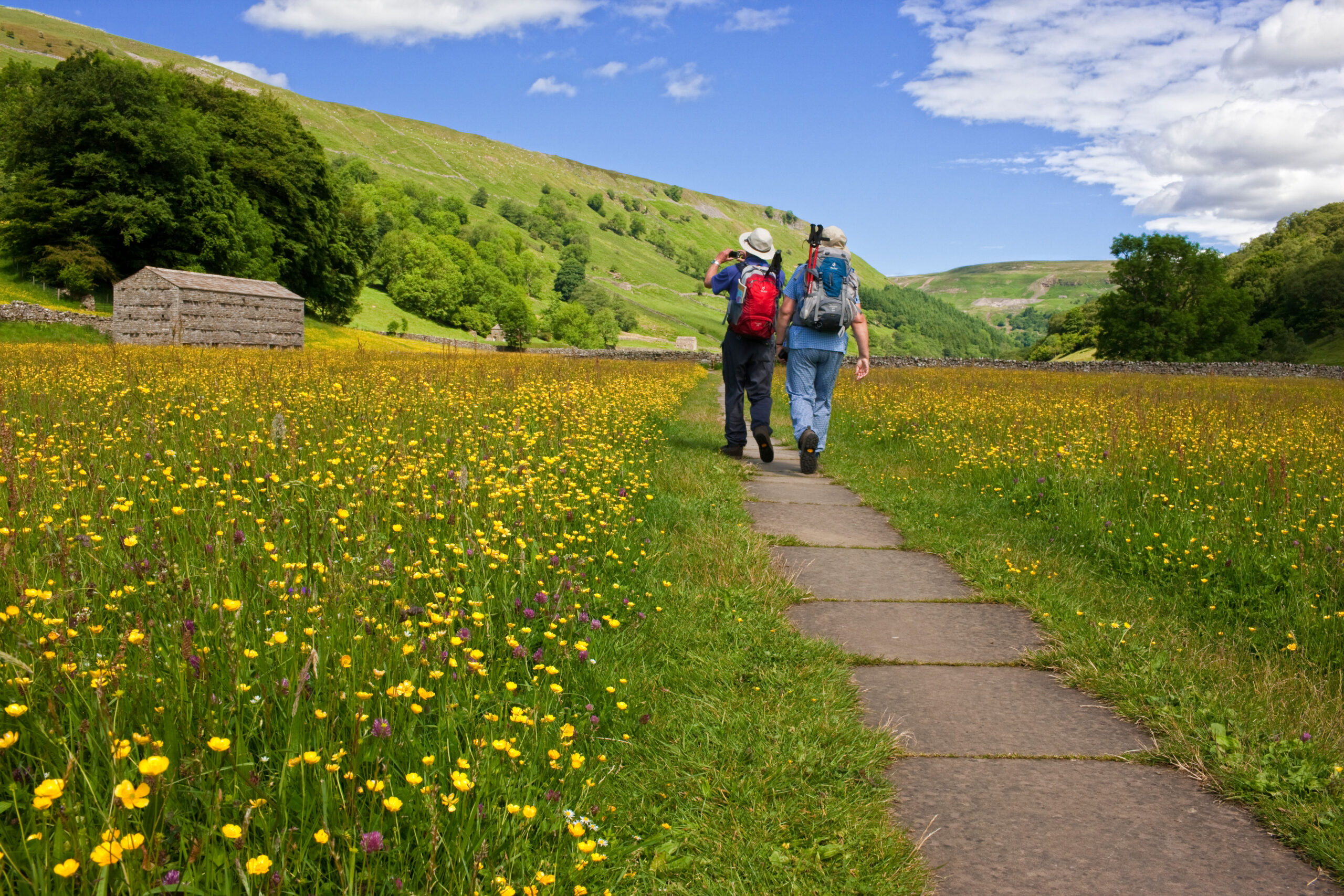 The magic of meadows - CPRE