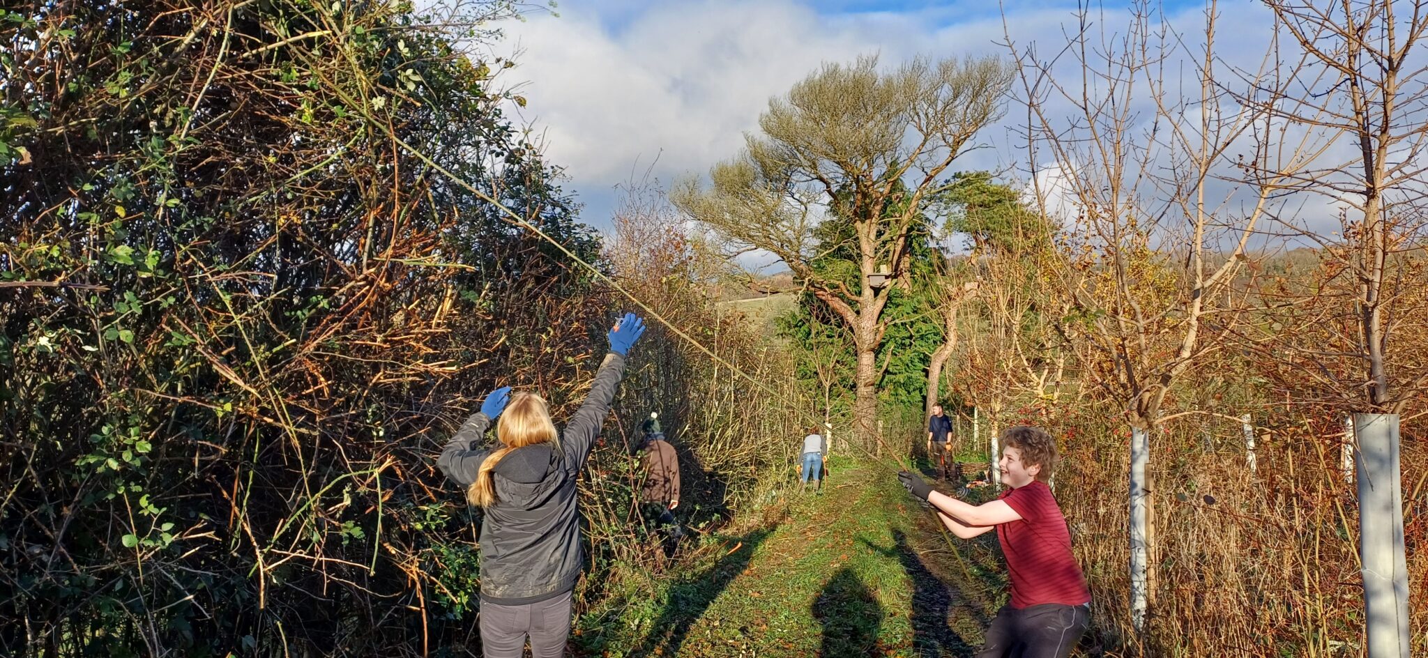 Eight more restoration projects as Hedgerow Heroes enters phase four - CPRE