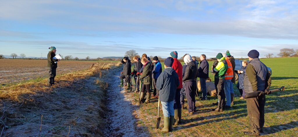 Hedgerows - CPRE