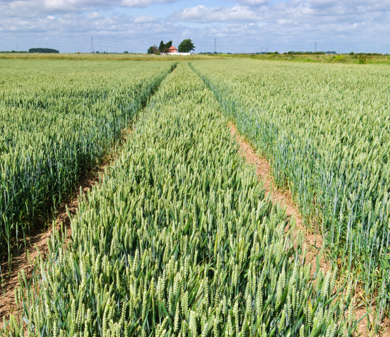 Farming on the edge - CPRE