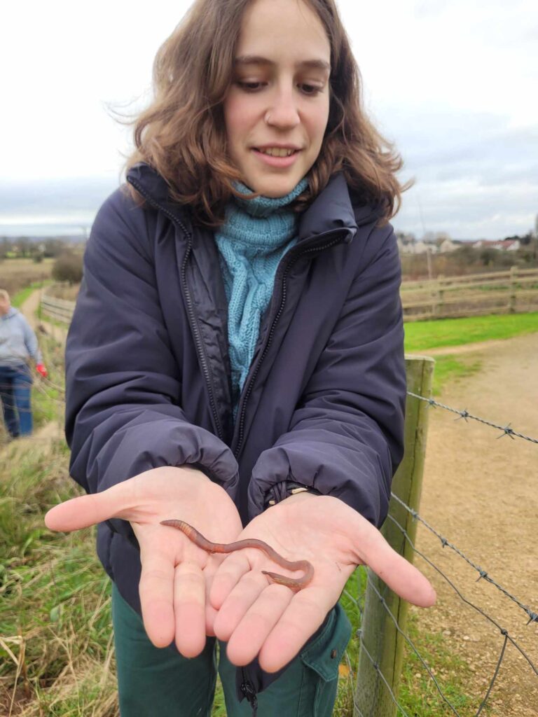 The small things that shape the countryside: our favourite insects - CPRE
