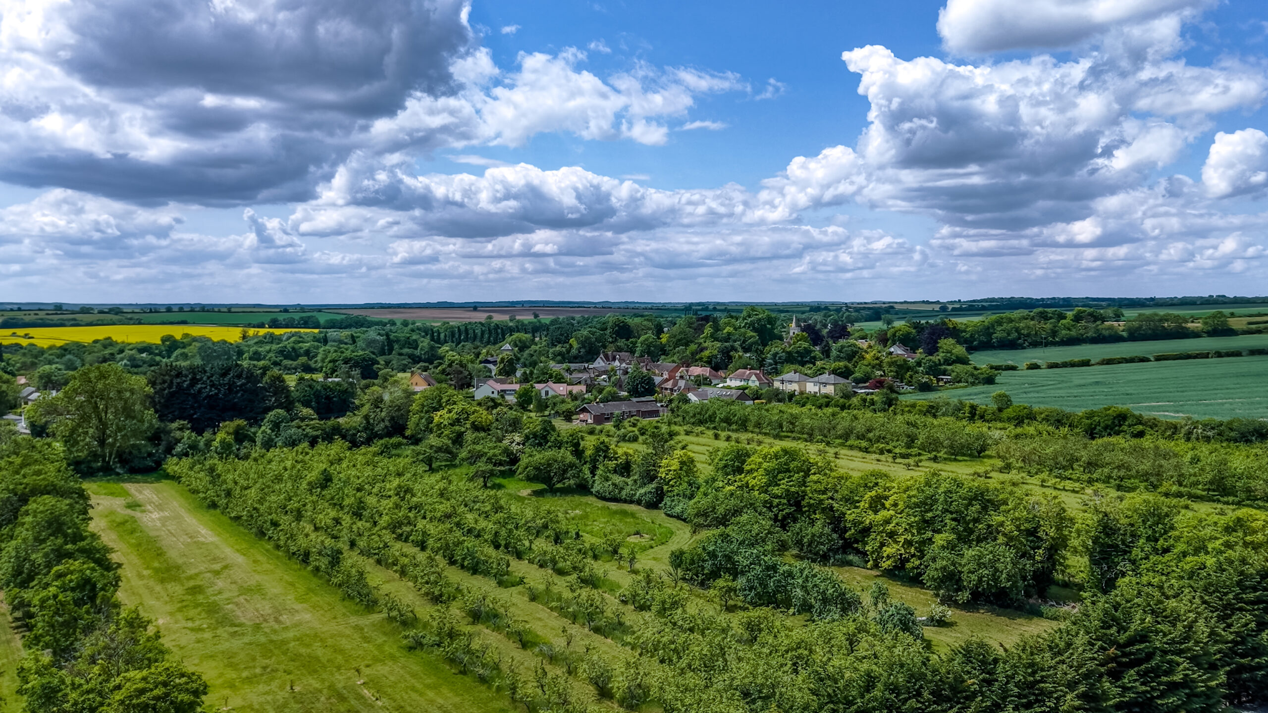 Coton Orchard case study - CPRE