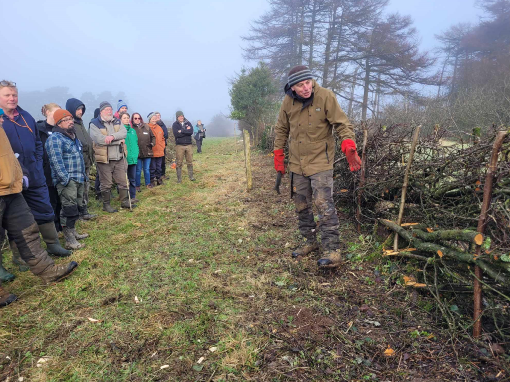 Hedgerow Heroes Phase Five: 13 local CPREs join the mission - CPRE