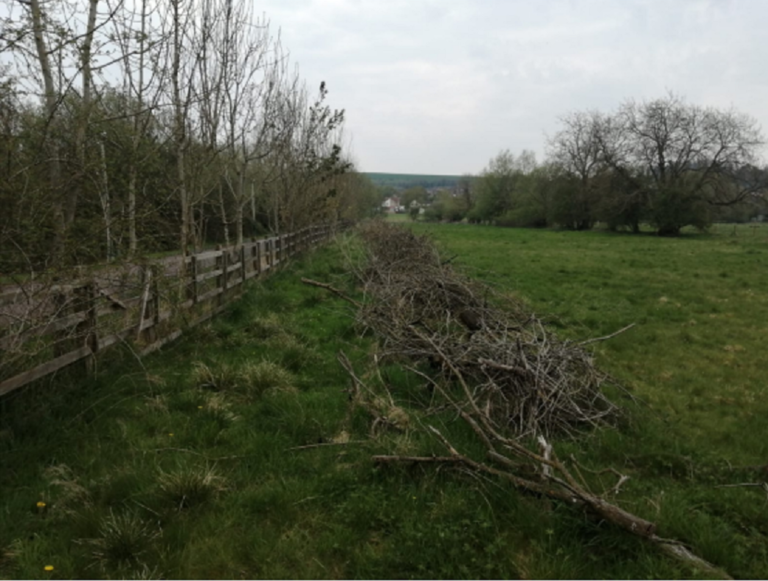 Home - CPRE